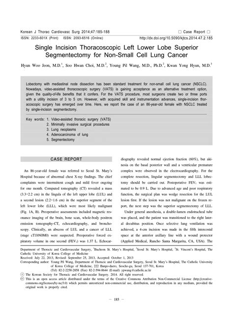 Pdf Single Incision Thoracoscopic Left Lower Lobe Superior Segmentectomy For Non Small Cell