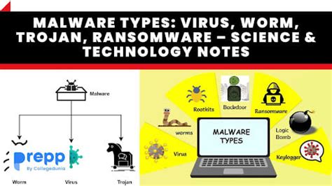 Malware Types Virus Worm Trojan Ransomware Science And Technology Notes