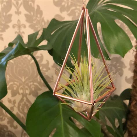 🧡 🌵 Himmeli 🌵 🧡 Swipe To See The The Copper Cacti