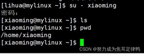Linux关机and重启操作用户登录和注销添加用户指定修改密码删除用户查询用户信息切换用户查询当前用户登录用户用户组修改用户的组用户组和相关文件 阿里云开发者社区