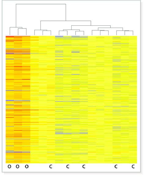 Hierarchical Clustering Analysis Results Arrayed As Heat Map Download Scientific Diagram
