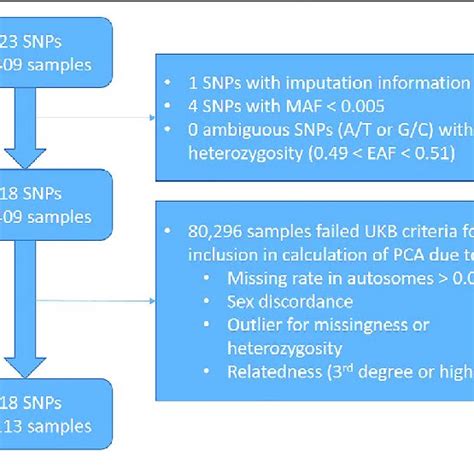 Flowchart Showing Quality Control Exclusions In Worked Example Of