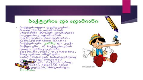 ბაქტერიები და ვირუსები Calameo Downloader