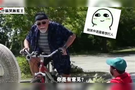 狗子为什么总是欺负猫仔？猫仔究竟为什么不反抗呢？