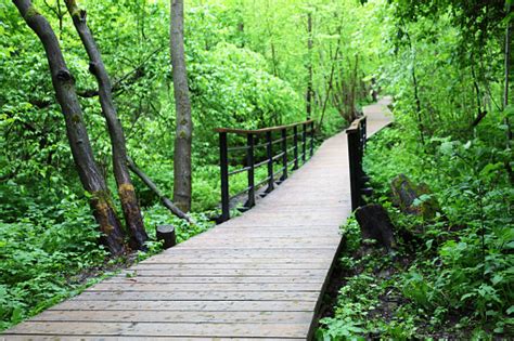 여름에는 오래된 공원 개울을 통과하는 다리와 젖은 길에 초점을 맞추지 않은 전망 6월에 대한 스톡 사진 및 기타 이미지 6월 0명 강 Istock