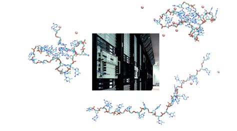 Computational Biophysics Department Of Bioscience