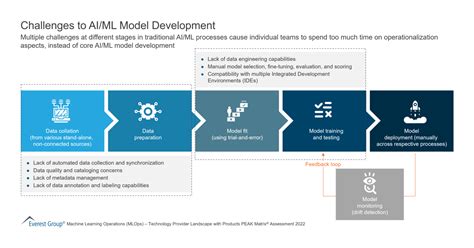 Challenges To Ai Ml Model Development Market Insights™ Everest Group