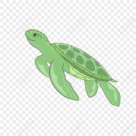 웃는 만화 일러스트 바다 거북 클립 아트미소바다거북 Png 일러스트 무료 다운로드 Lovepik