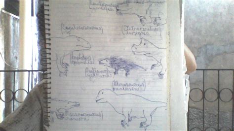 Therapsids And Eupelycosaurs By Jgfraptor On Deviantart