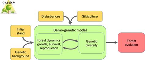 Schematic Representation Of The Eco‐evolutionary Feedback Loop Download Scientific Diagram