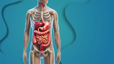 Crohn Hastalığı Crohn Hastalığı