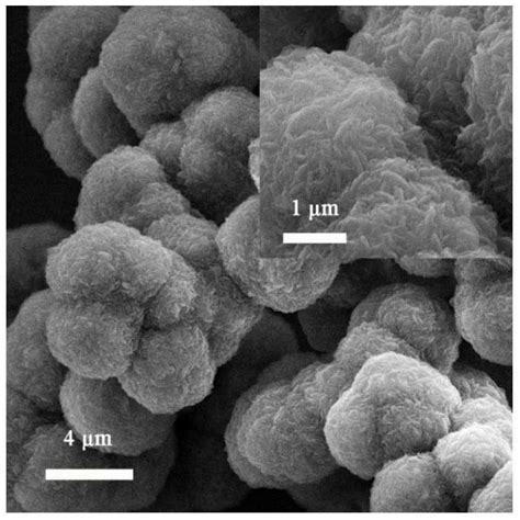 Preparation Method Of A Template Free Covalent Organic Framework Hollow