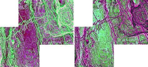 Geophysical Data Beauty Unleashed In3d Geoscience