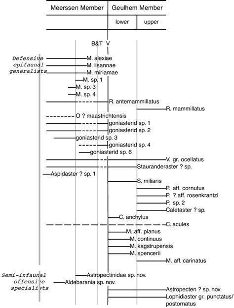E Asteroid Distribution Across The Kt Boundary In The Type Area Of