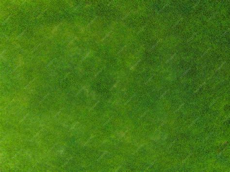 Premium Photo Top View Of Park Natural Grass Texture