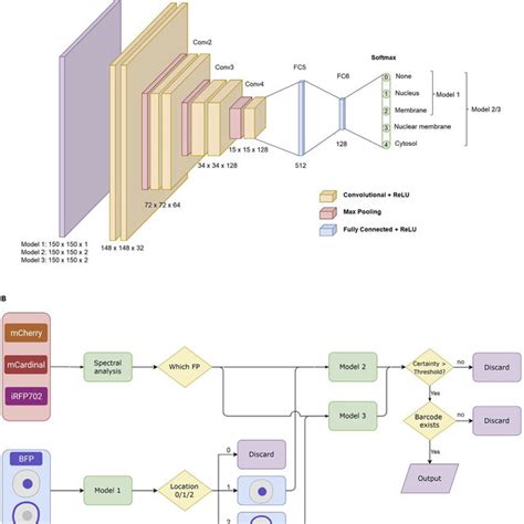 Training Deep Learning Models A The Architecture Of The Models B Download Scientific