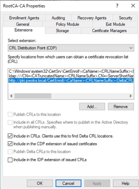 Implementing Two Tier Pki On Windows Server 2022 Part 1 Professional Works Of Kadir Sariaslan