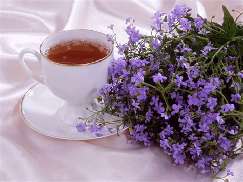 Утро чай цветы (Много фото!) - treepics.ru