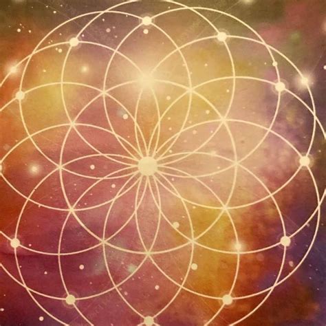 Maria Gryko Dipl Sozialpädagogin Fortbildungsakademie Der Wirtschaft Faw Ggmbh Xing