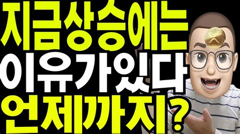 리플 비트코인 지금 상승에는 이유가 있다 언제까지 Youtube