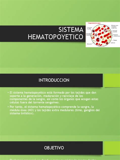 Sistema Hematopoyetico Pdf Sangre Glóbulo Rojo