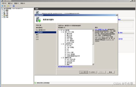 Windows Server R Iis Windows Server Iis Csdn