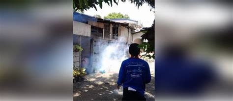 Dengue Cases In Bacolod Up By 2279