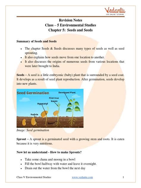 Seeds And Seeds Class 5 Notes Cbse Evs Chapter 5 Pdf Pdf Seed