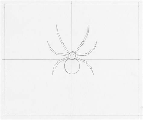 How To Draw A Spider On A Spiderweb In Steps My Modern Met