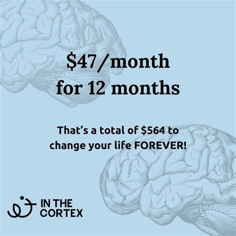 In The Cortex Live Online Workshop Its Not Misbehavior Its A