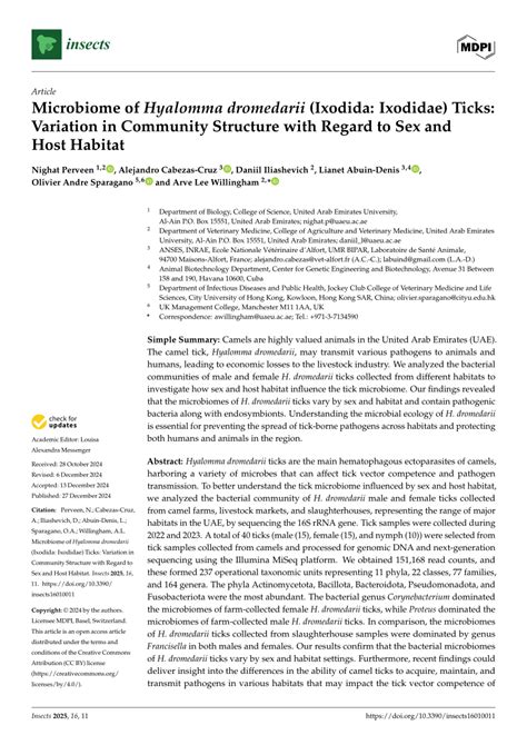 Pdf Microbiome Of Hyalomma Dromedarii Ixodida Ixodidae Ticks