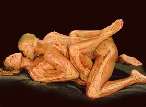 Cuando Tienes Sexo As Luce Tu Cuerpo