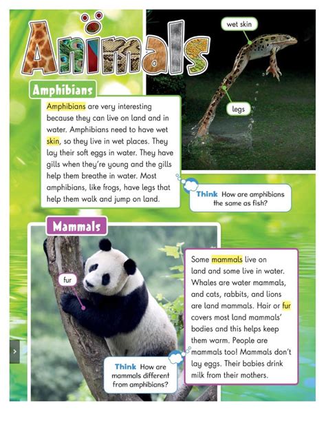 Reading Animals Interactive Worksheet Artofit