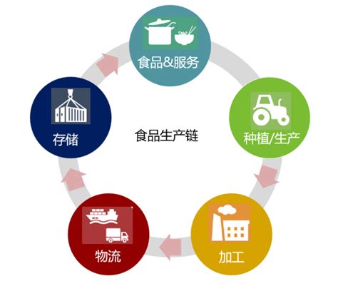 食品供应链图 食品供应链 伤感说说吧