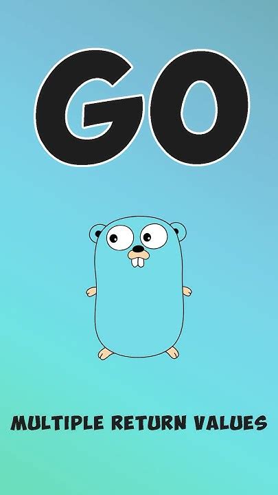 Working With Multiple Return Values In Go Devologist Youtube