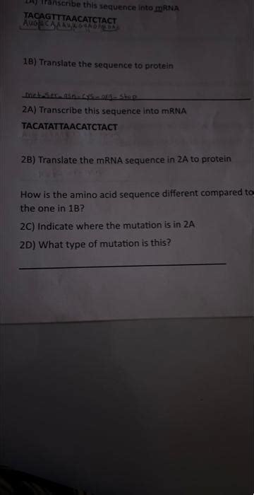 Solved 18 Translate The Sequence To Protein