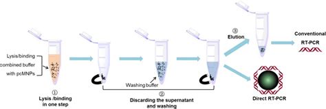 A Simple Magnetic Nanoparticles Based Viral Rna Extraction Method For Efficient Detection Of