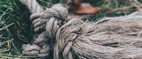 Generate A Random Alphanumeric String Using Javascript Dev Community