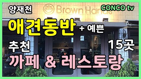 양재천 주변 애견동반 가능 까페 레스토랑 추천 15곳 예쁜까페 YouTube