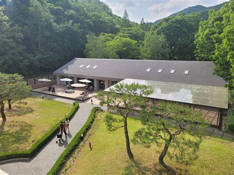 에버랜드 6월 징검다리 연휴 앞두고 힐링 프로그램 선보여 파이낸셜뉴스