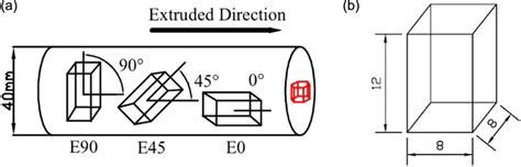 Sample Shape And Size A Schematic Of Samples B Compression Samples Download Scientific