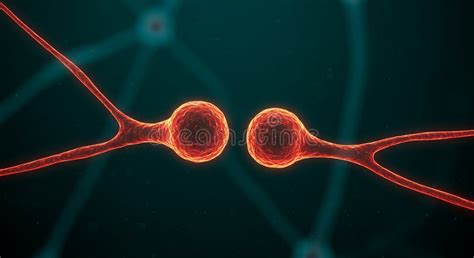 Microscopic View Of Neuron Synapse Connection Neural Network