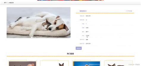 【计算机毕业设计】基于springbootvue的流浪猫狗救助救援网站的设计与实现基于springboot的毕设 Csdn博客