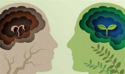 수명 연장 뇌 노화 늦추는 핵심 유전자 발견 제노메딕스