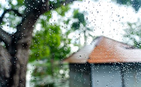 빗방울로 덮인 자동차의 창 유리를 통해 흐릿한 녹색 자연 배경이있는 자동차 유리 표면에 빗방울 비 후 신선도 차 안에서 젖은 앞 유리 촬영 0명에 대한 스톡 사진 및 기타