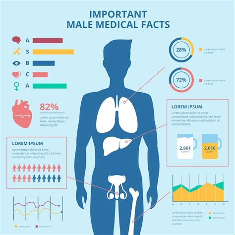 인포 그래픽 의료 건강 관리 무료 벡터