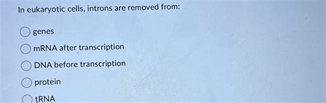 solved in eukaryotic cells introns are removed