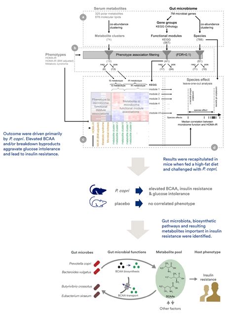 Case Study Multi Omics Data Integration And Insights