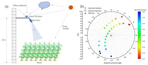 Sensors Free Full Text Enhancing Leaf Area Index Estimation For