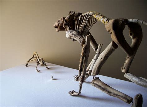 Коллекция скелетов животных и птиц из древесины «Fragile Skeletons»